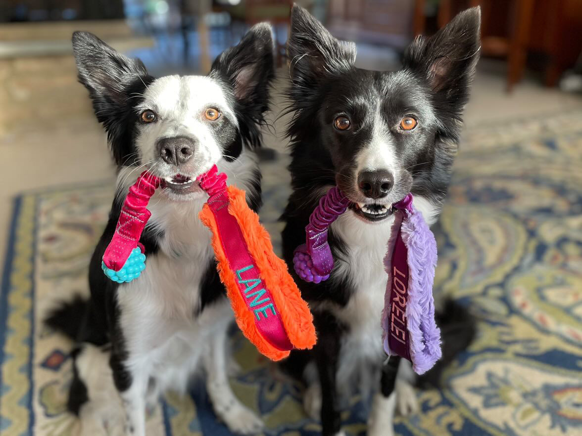 The Nubby Ball tuggies – Wild at Heart Pet Company