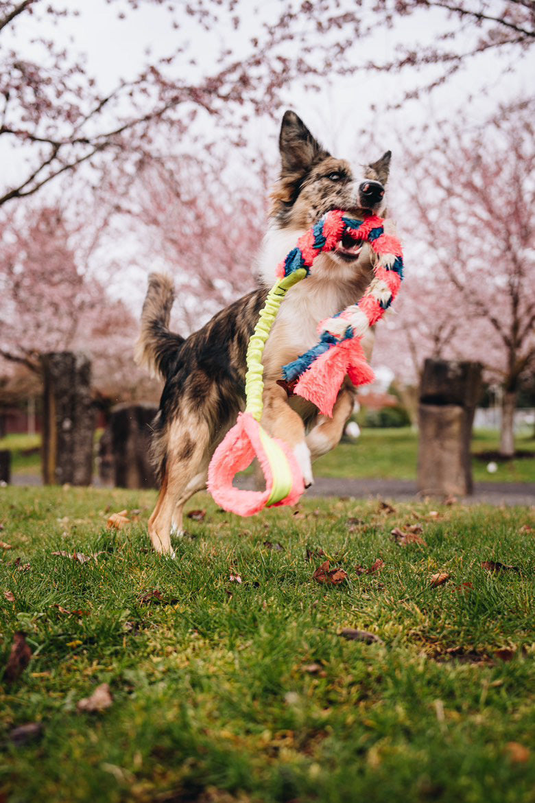 What's up Doc! – Wild at Heart Pet Company